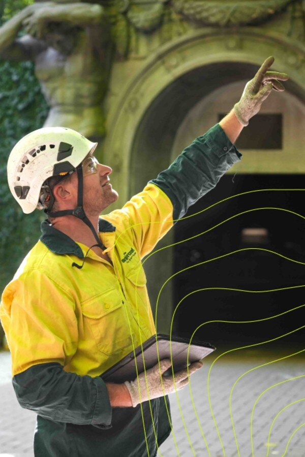 Arborcraft Tree Services